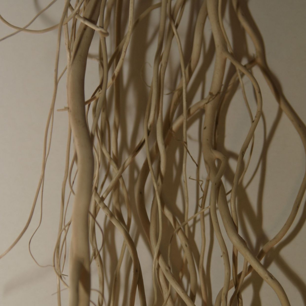 Ukrasne grane / Kika - Namestaj sredidom.com